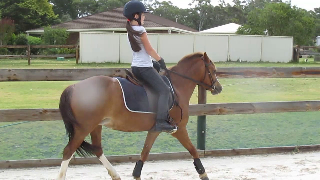 kerulen myfanwy-30th Jan 18- teaching a novice rider - YouTube