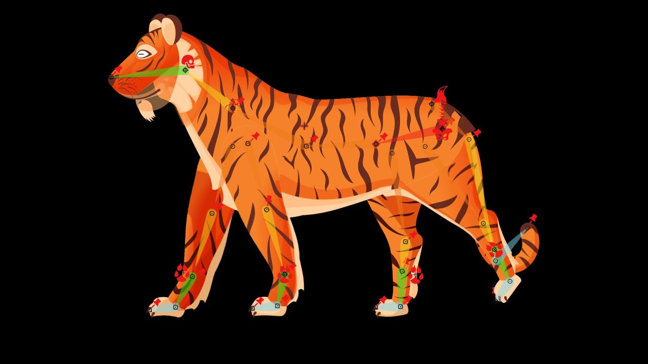 Tiger Walking - Animation in After Effects - YouTube