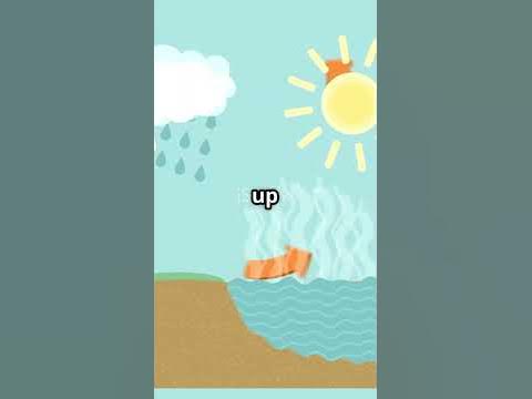 The Amazing Journey of a Water Drop! | Fun Water Cycle Adventure for ...