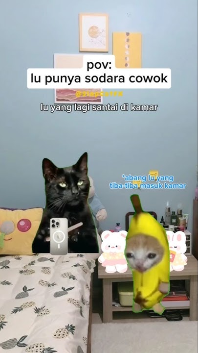 Pov: kucing punya sodara cowo #catmemes #cat #povmemes #catshorts #kucing #pov #kucinglucu # ...