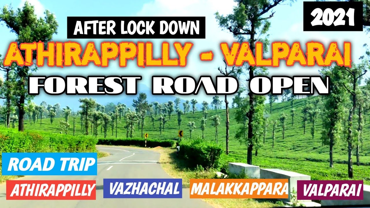valparai road drive|Athirappily to valparai road open after lock down ...
