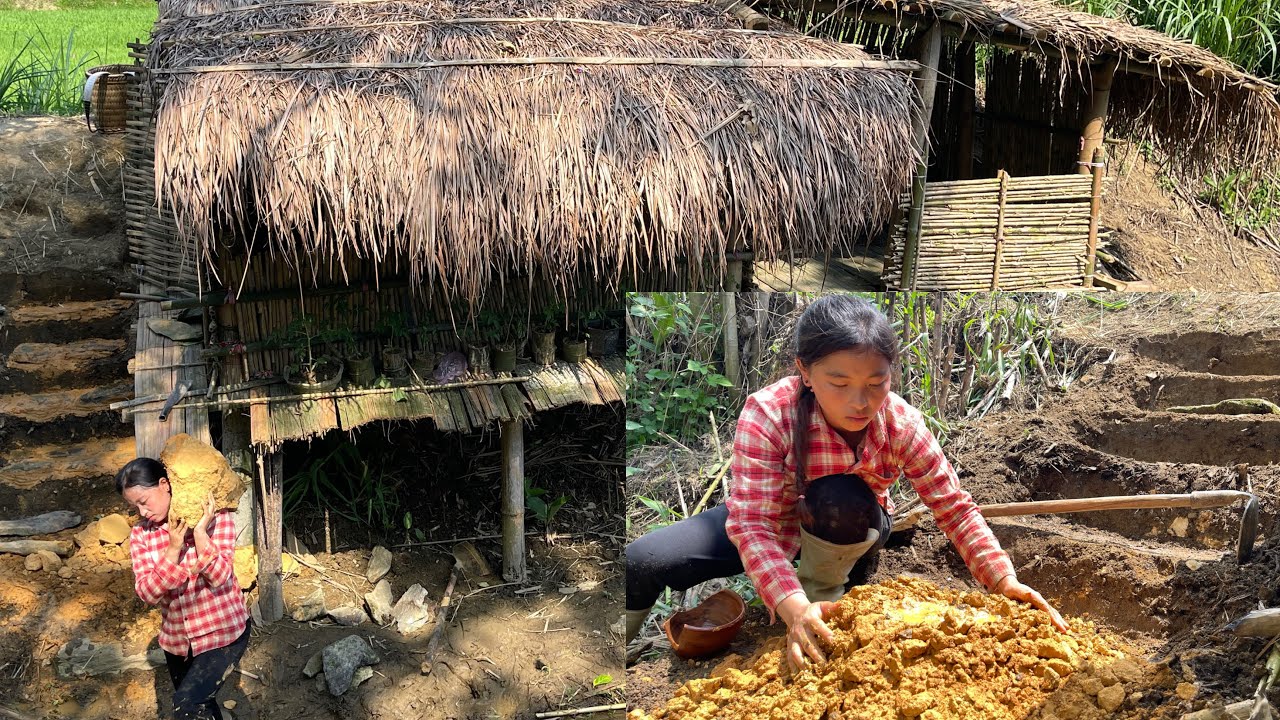 Girl finds special golden soil and turns it into beautiful shiny stairs ...