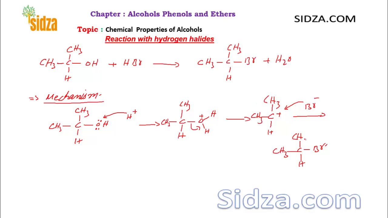 Reaction of Alcohols with Halogen acids: class 12 - YouTube