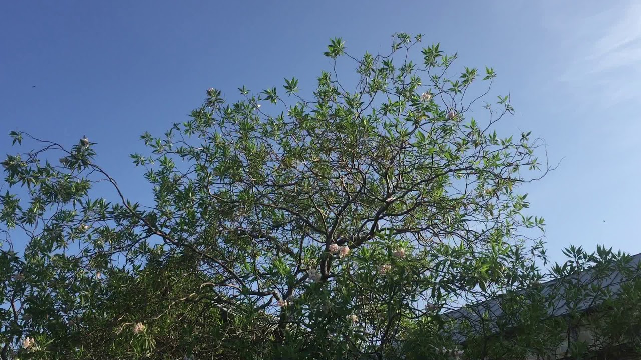 TTFG: Shore Seasons (7-22-17) - YouTube