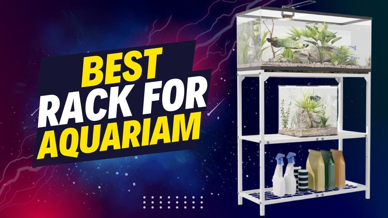 Best Rack for Aquarium Review and Buying Guide - YouTube