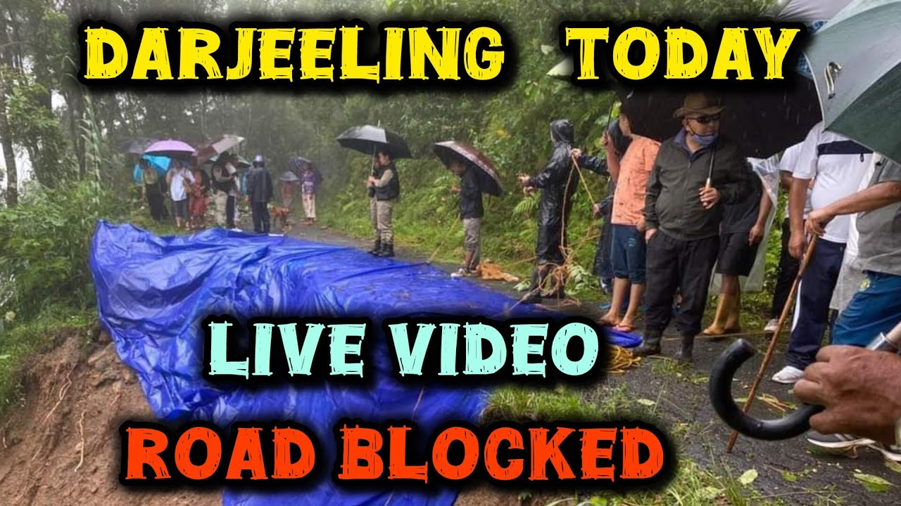Darjeeling Road Condition Today || Nh 10 Road Condition Today ...