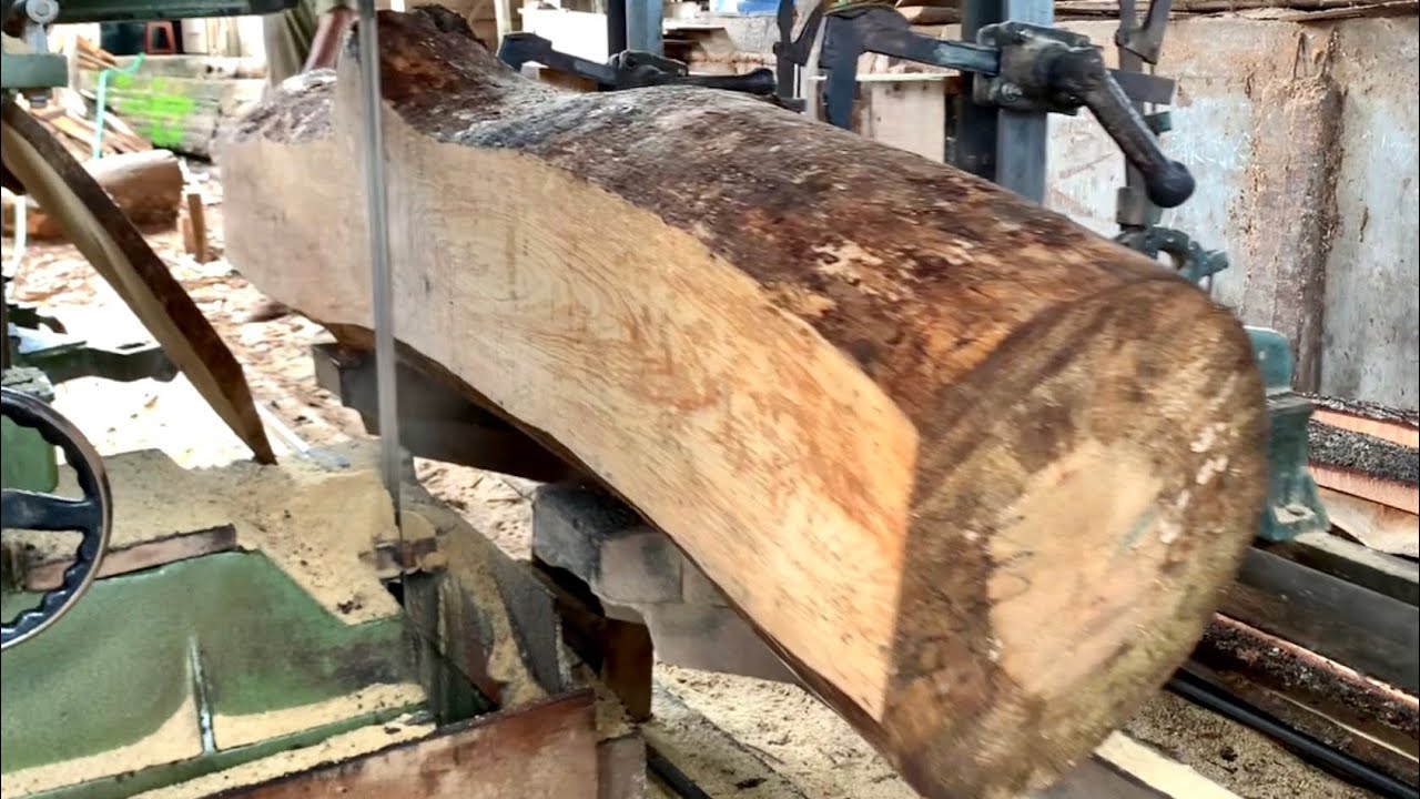 The process of sawing pine wood using benso - unique sawing of wood ...