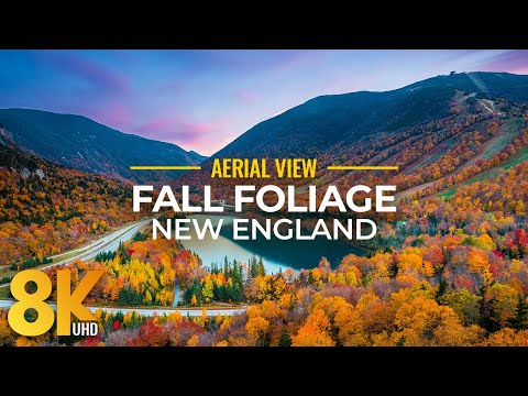 New England'ın İnanılmaz Sonbahar Yaprakları 8K'da Yukarıdan | Sonbahar Ortam Filmi (2021)