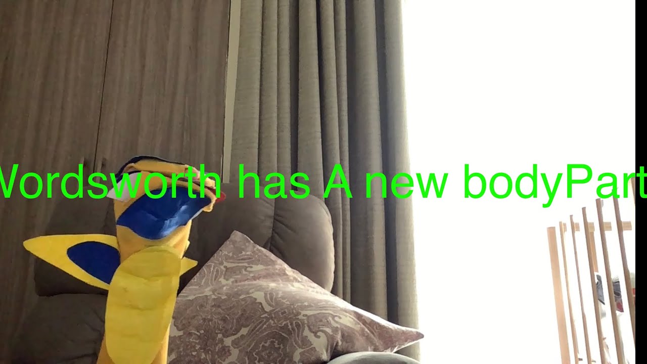 Wordsworth the parrot has a new body-Part! | Fun videos for Kids - YouTube
