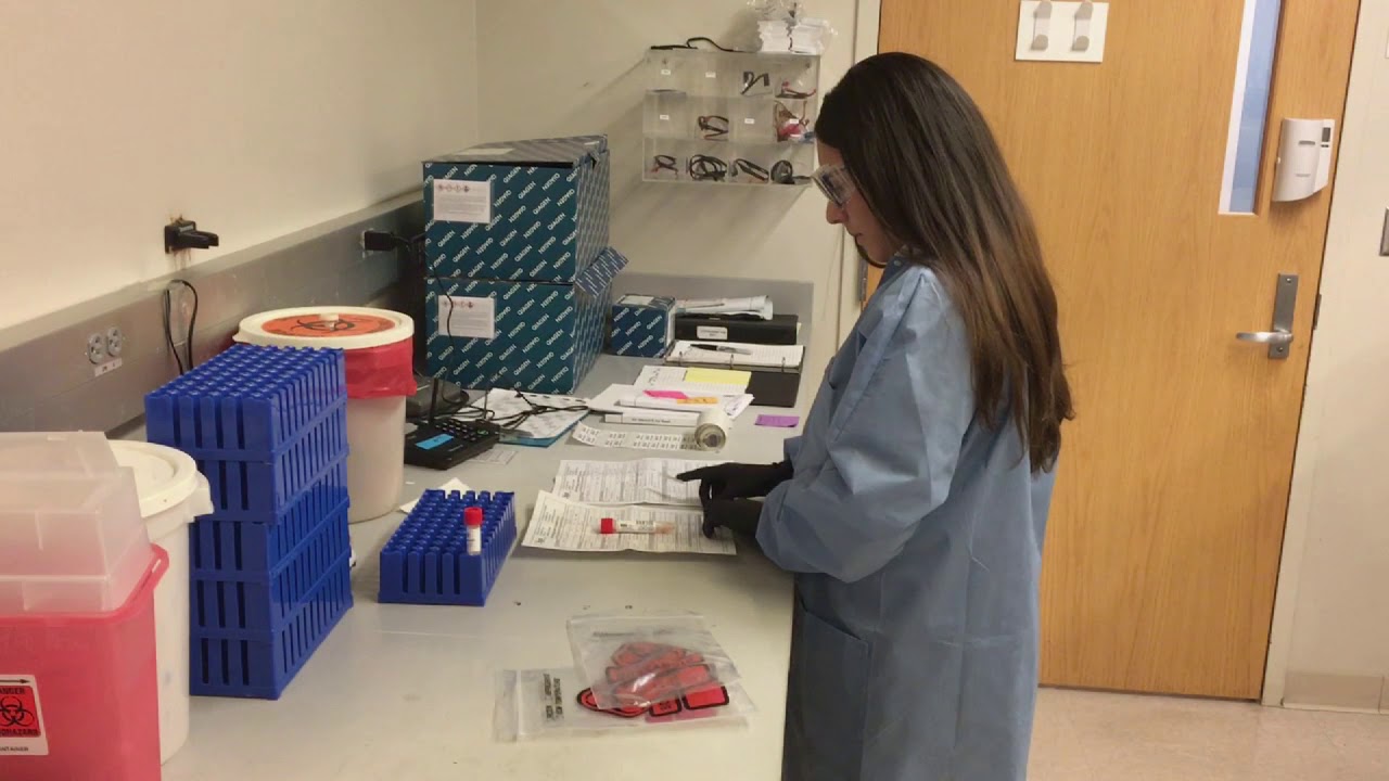 Footage of Ohio Department of Health lab- coronavirus testing - YouTube