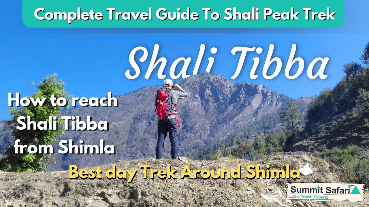Shali Peak Trek- The Best Day Trek Around Shimla - Summit Safari India ...