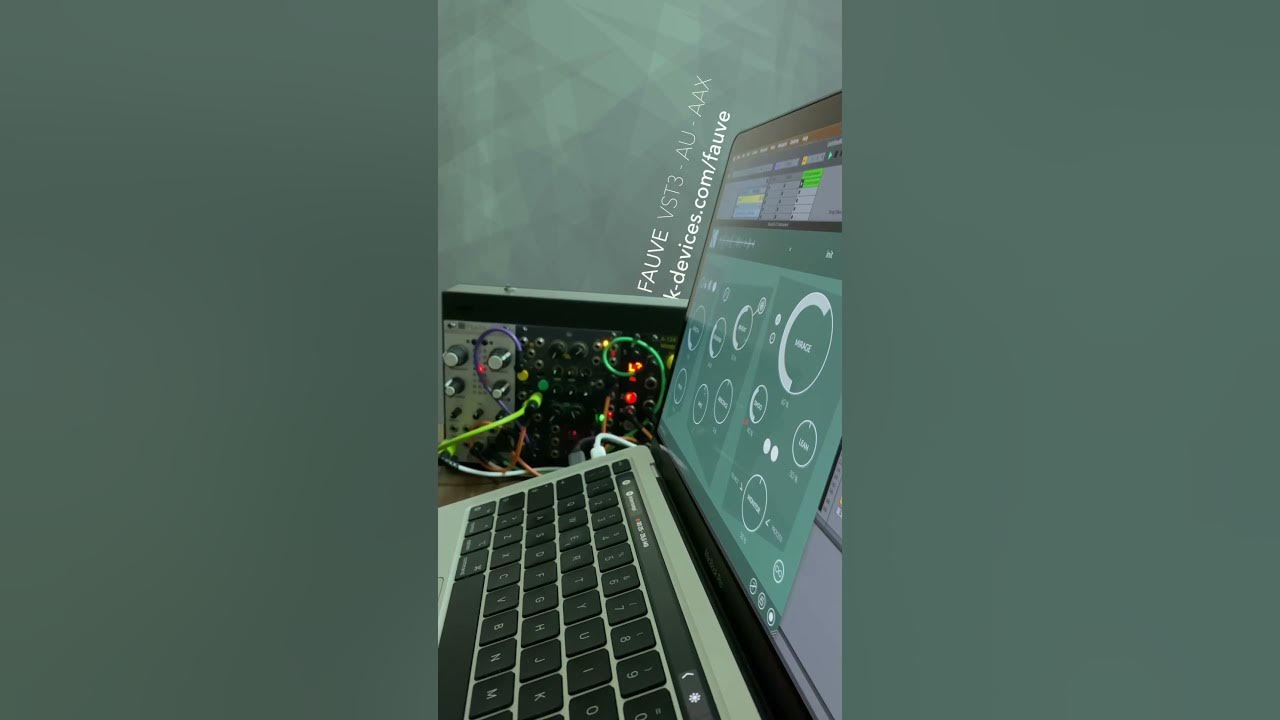 Fauve + modular synth - YouTube