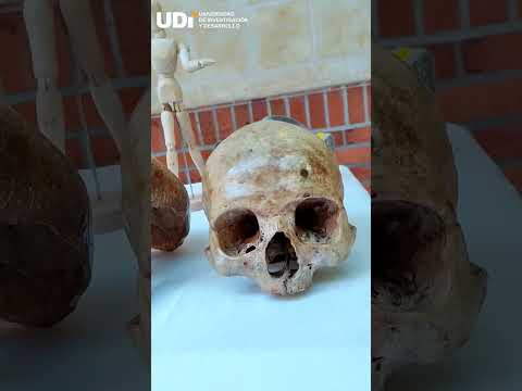 Día del Profesional en Criminalística UDI