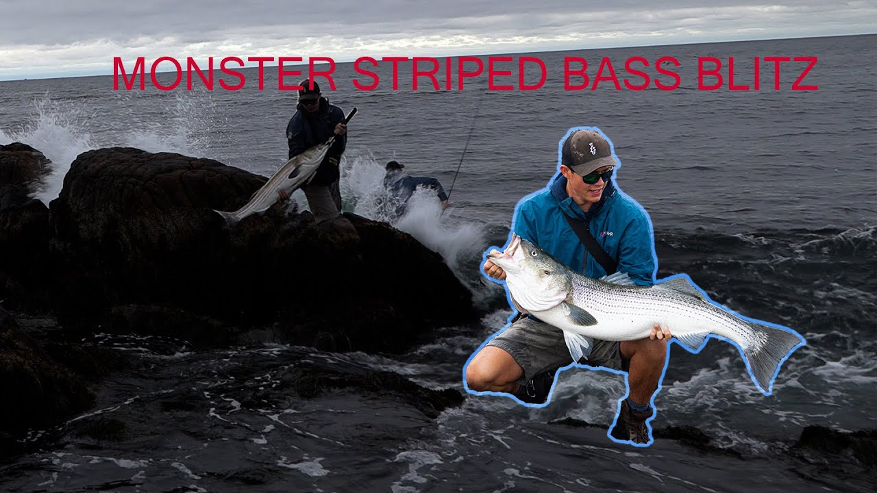 Unbelievable Monster Striped Bass Fishing - YouTube