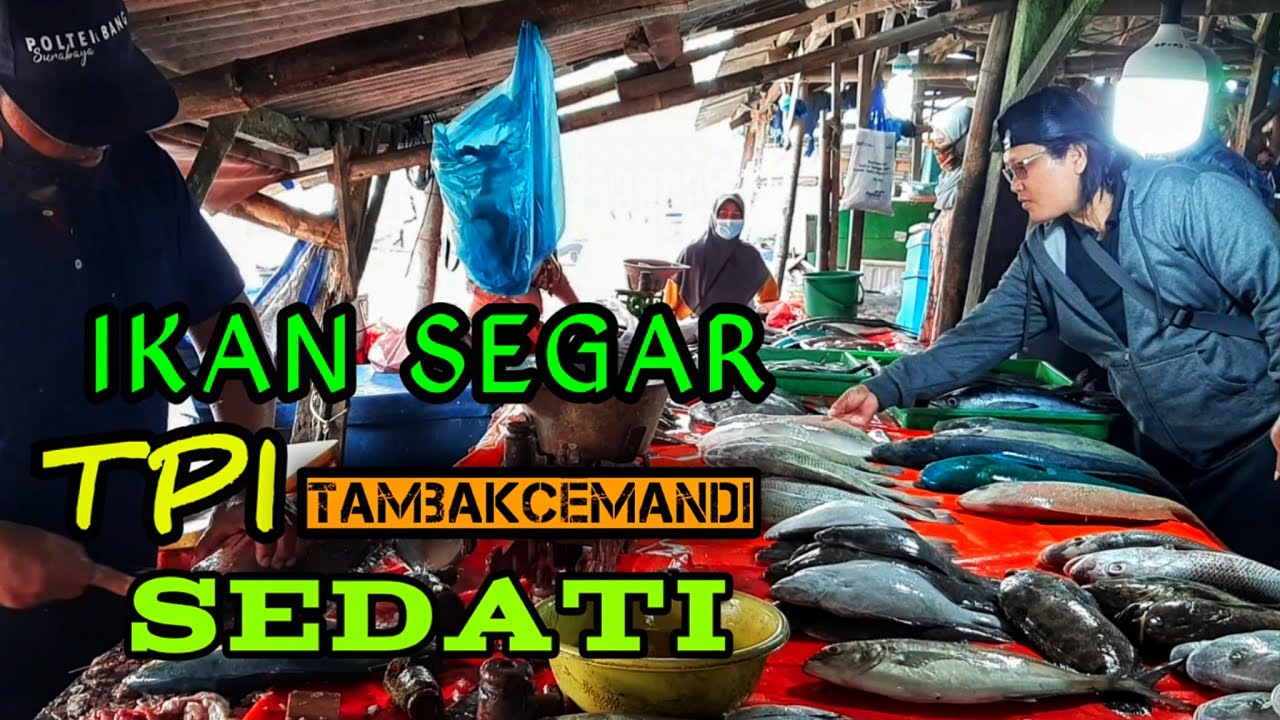 IKAN SEGAR DI TPI SEDATI di serbu pengunjung menjelang pergantian tahun ...