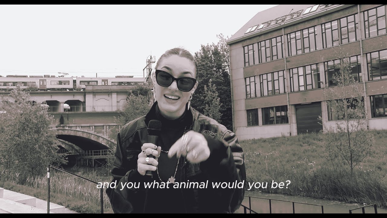 What animal would you be??? - YouTube