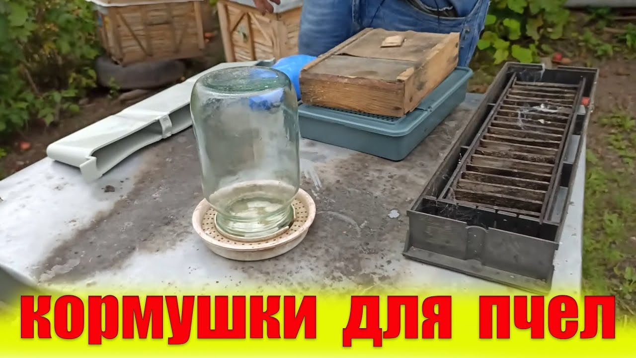 Кормушки для пчел потолочные или внутриульевые. Дозировка как ...