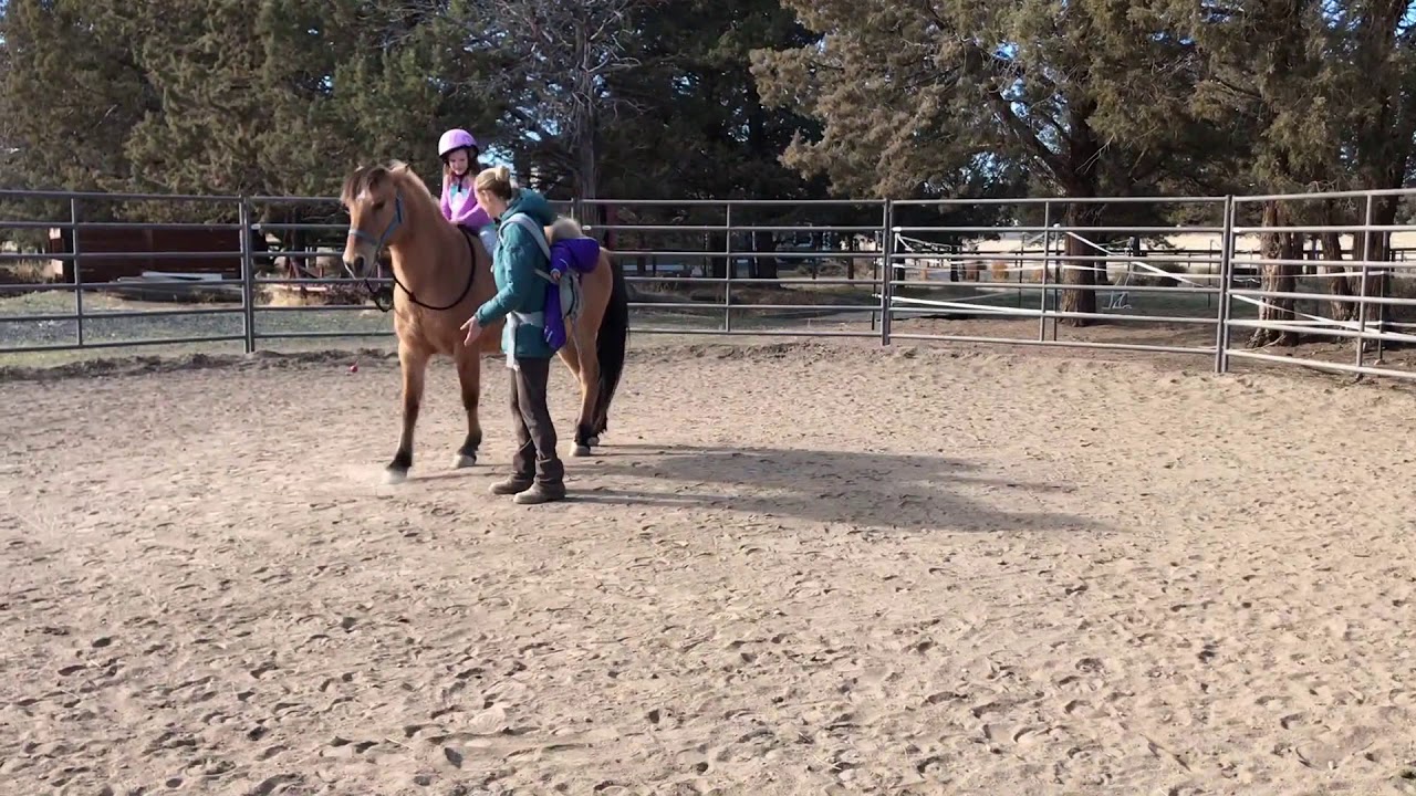 Lead Rein Lessons | Pony Professionals