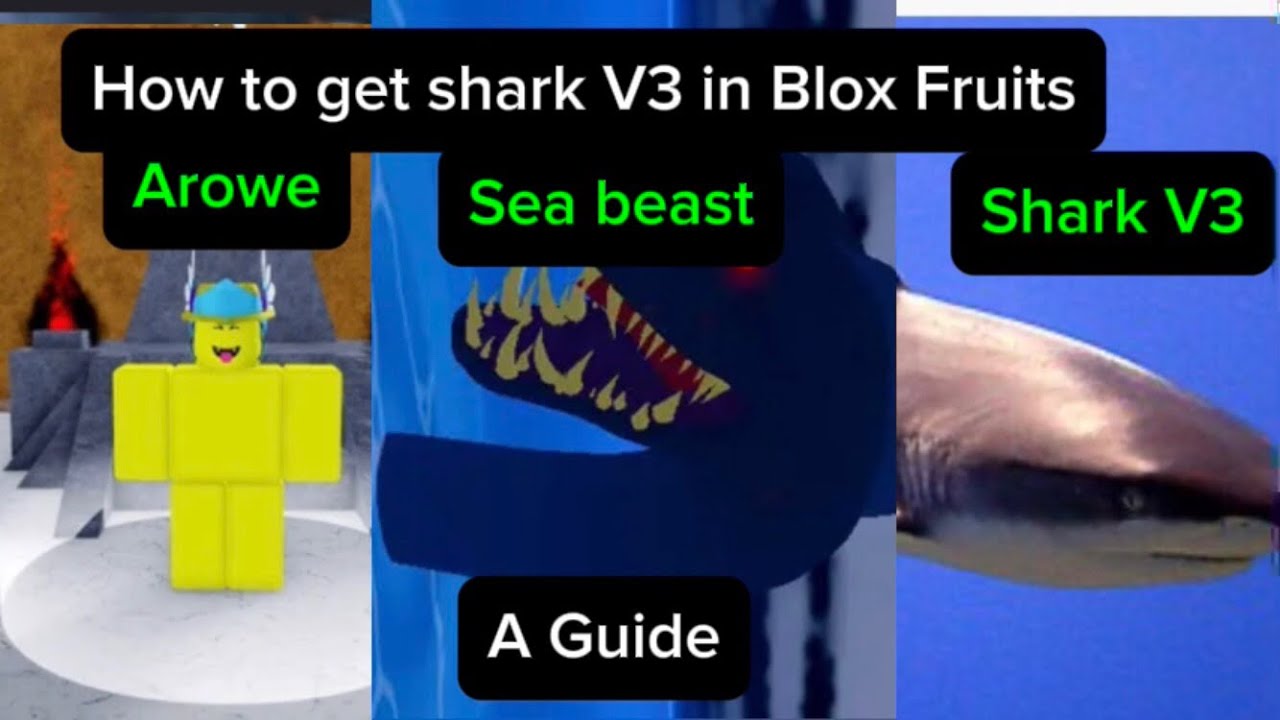 Blox Fruits (Roblox): How to Get Shark V3 - YouTube