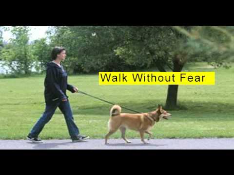 dog attack protection prevention devices - YouTube