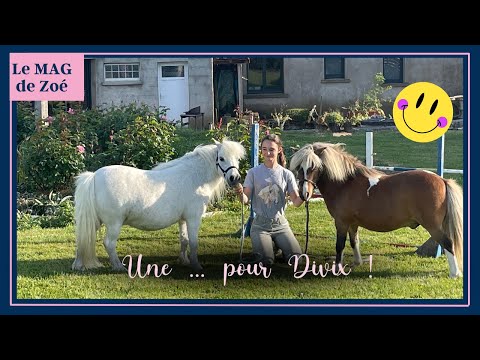 Le MAG de Zoé : Divix retourne a son élevage !