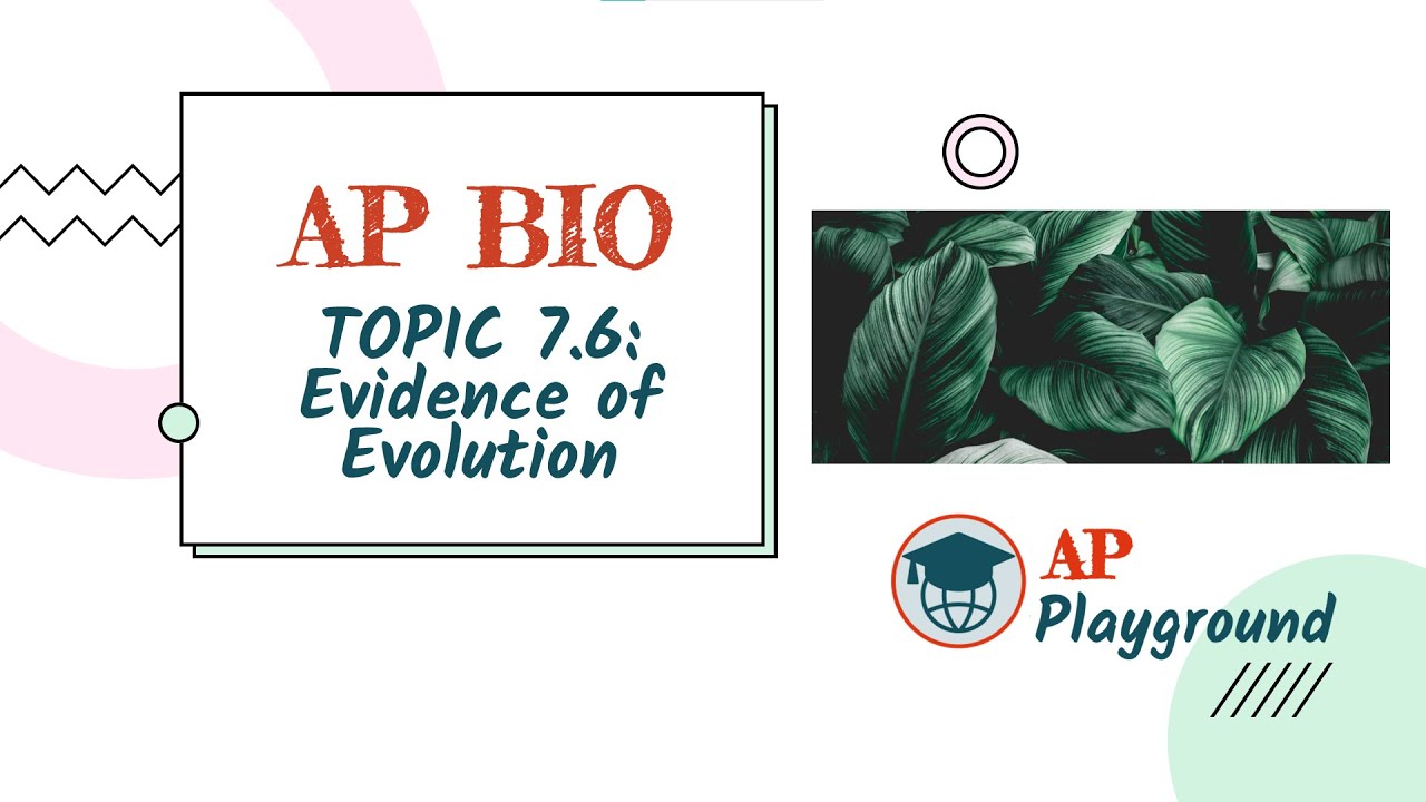 AP Biology 7.6: Evidence of Evolution | AP Playground - YouTube