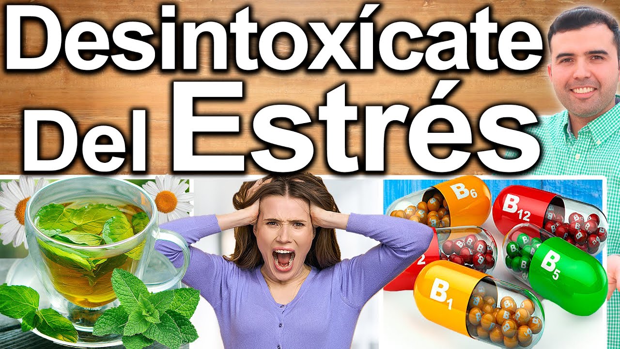COMO DESINTOXICARSE DEL ESTRÉS - Como Curar el Estrés 100% Para No ...