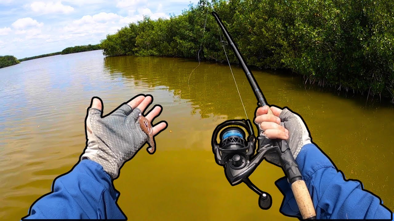 Sight fishing in ULTRA SHALLOW creeks! - YouTube
