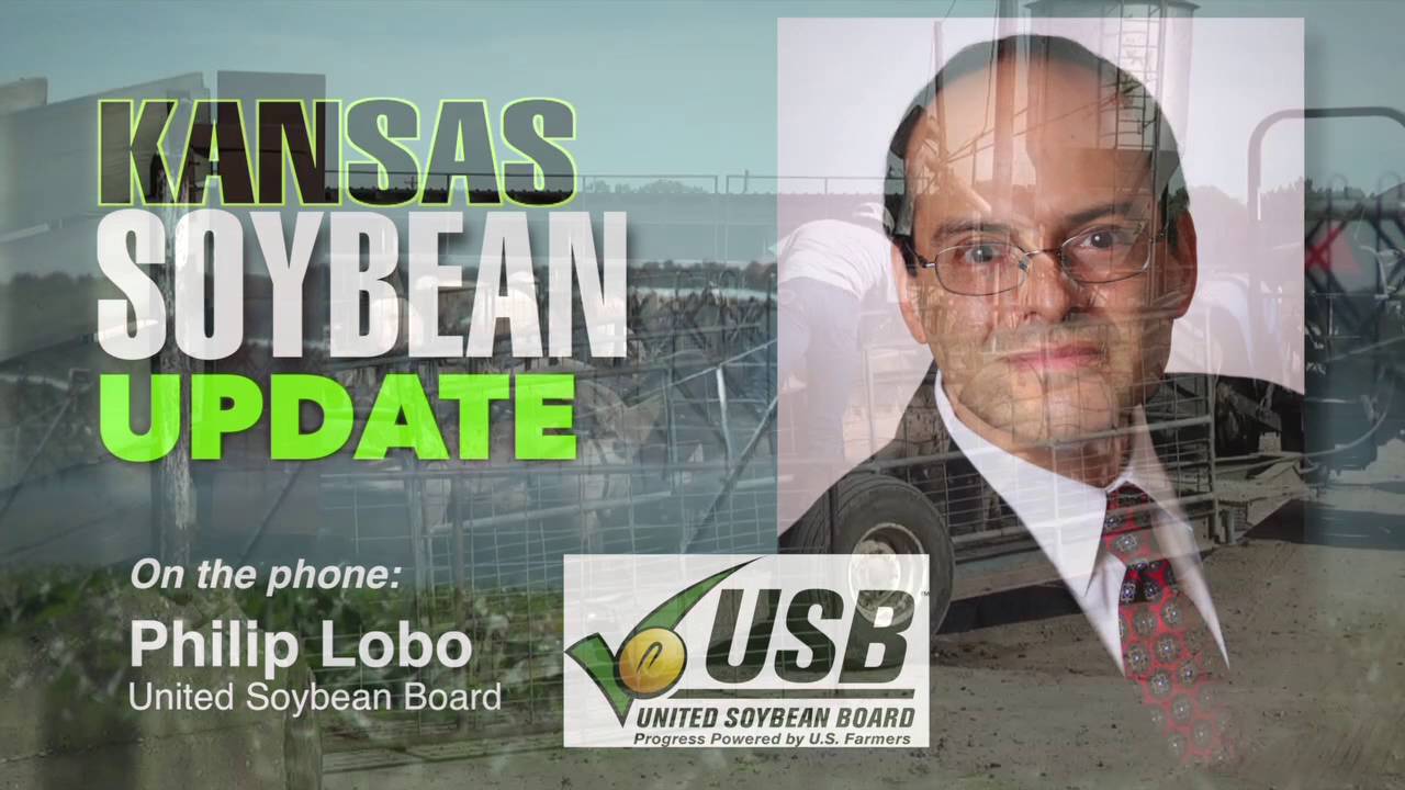 Farm Factor - Kansas Soybean Update with Philip Lobo - May 17, 2016 ...