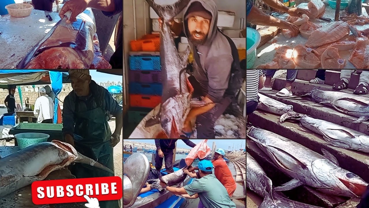 ⭕النية و قليل النية🤲🤲موسم سمكة أبو سيف المرعبة اللذيذة😱😋😋💪🦈🌊🛶⚓ Espadon ...