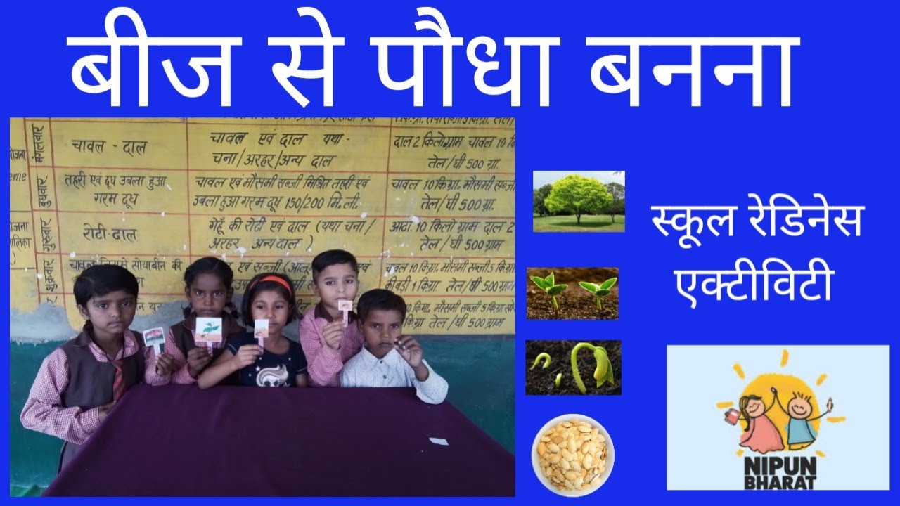 बीज से पौधा बनना ||पिक्चर कार्ड गतिविधि||School Readiness Activity ...