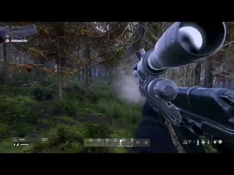 Ambushed | Dayz