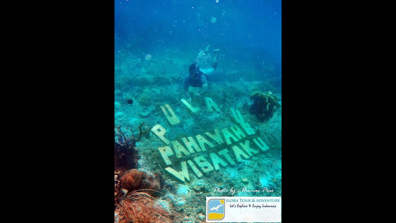 Happy Snorkeling at Pahawang Island @eloratour - YouTube