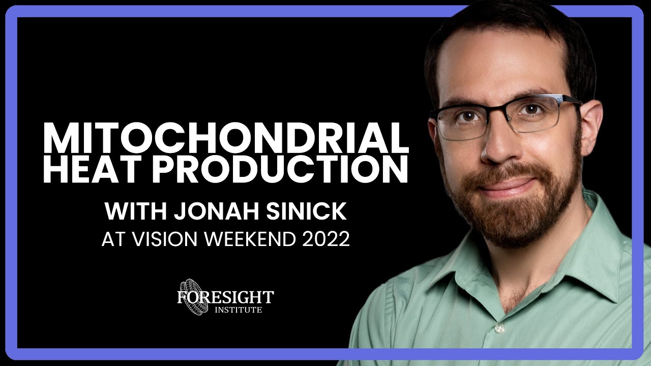 Jonah Sinick | Mitochondrial Heat Production @ Vision Weekend France ...