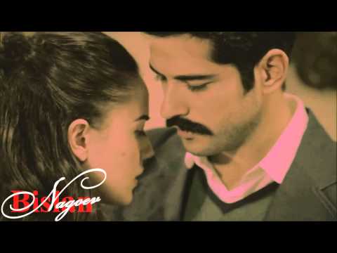 Wren bird singing|| Kamran♥ Feride