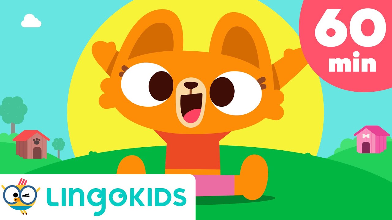 LINGOKIDS LISA BEST SONGS 😺🎶 Dance and Learn with LISA the Cat! - YouTube