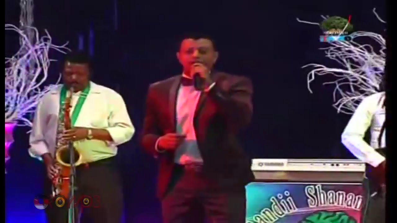 Tadele Gamachu - LIVE Show (Oromo Music) - YouTube