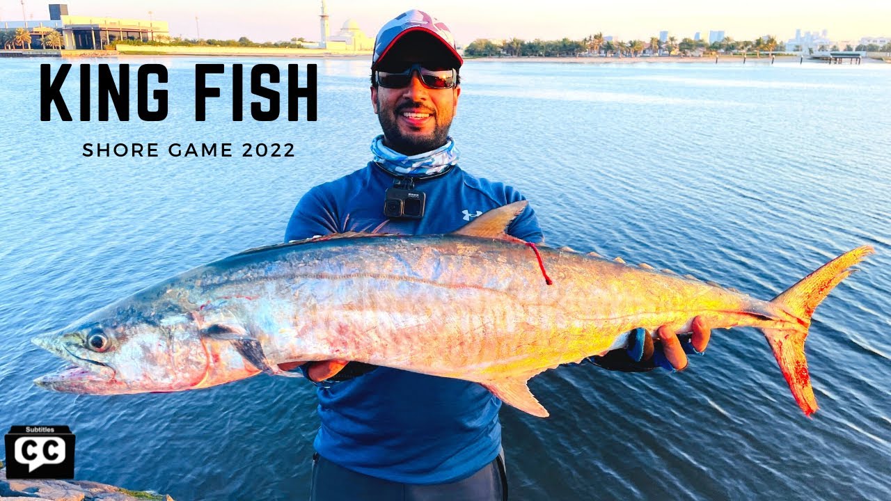 Landed A Good Size King Fish from Ajman on Megabass Kanata Lure | Shore ...
