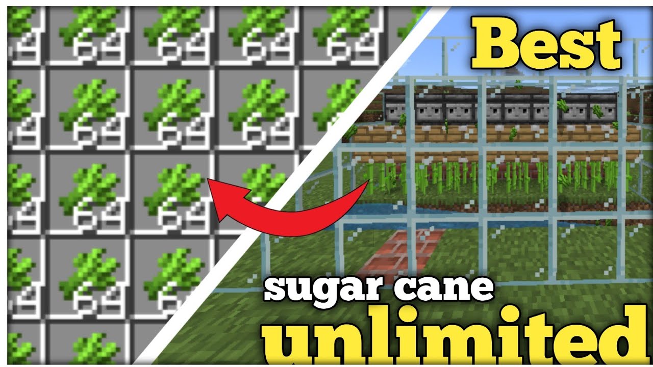 Minecraft: Easiest Automatic Sugarcane Farm! [1.20+] pocket+java - YouTube