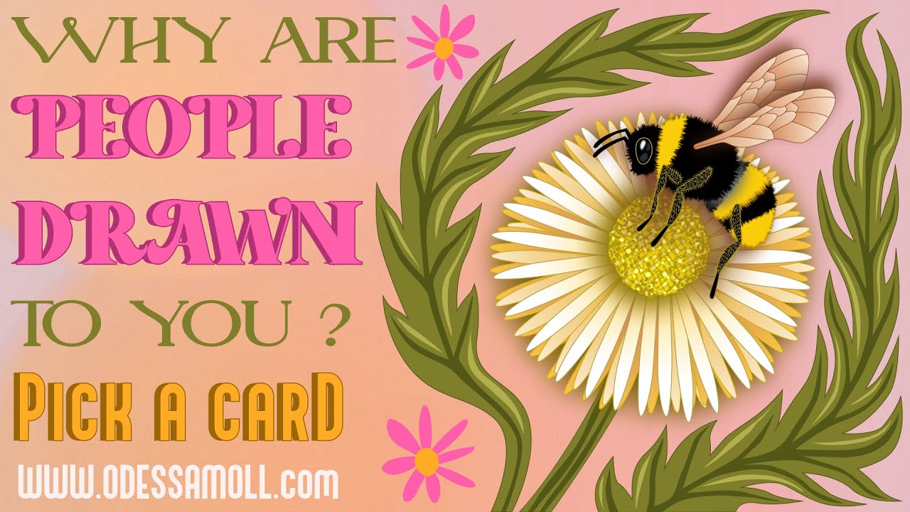 PICK A CARD 🐝 WHY ARE PEOPLE DRAWN TO YOU 🍯 WHAT MAKES YOU ATTRACTIVE ...