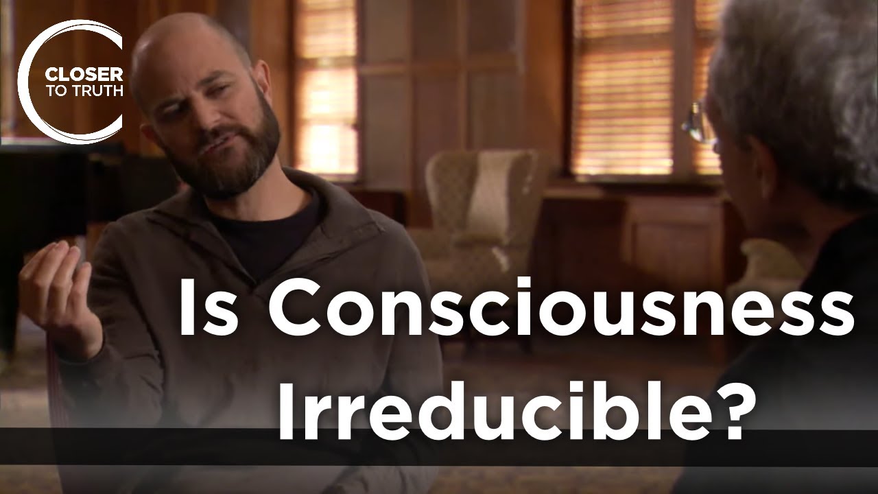 Tim Bayne - Is Consciousness Irreducible? - YouTube