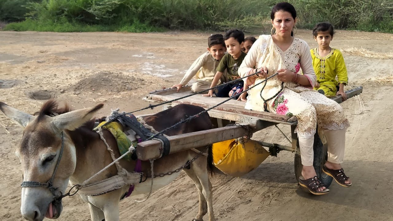 Aaj Maine Gaon Main Gadha Gari Chalayi | Faria Musadiq Vlogs - YouTube