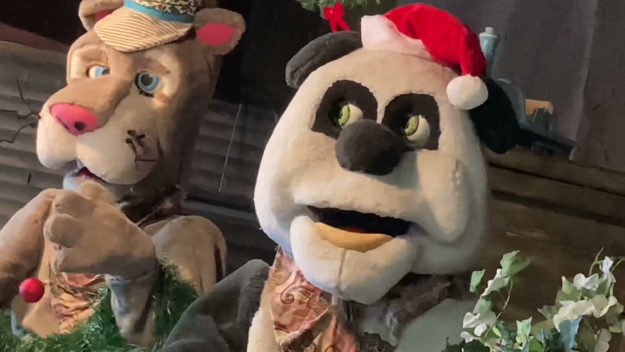 The Man & Dog - November 2021 - YouTube