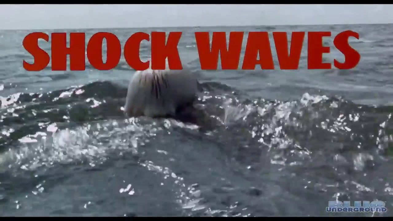 Shock Waves 1977 NAZI WATER ZOMBIES WW2 Peter Cushing John Carradine ...