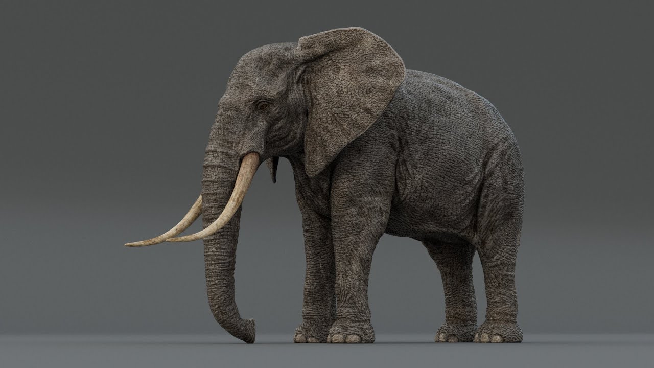 Elephant 3d model rig - YouTube