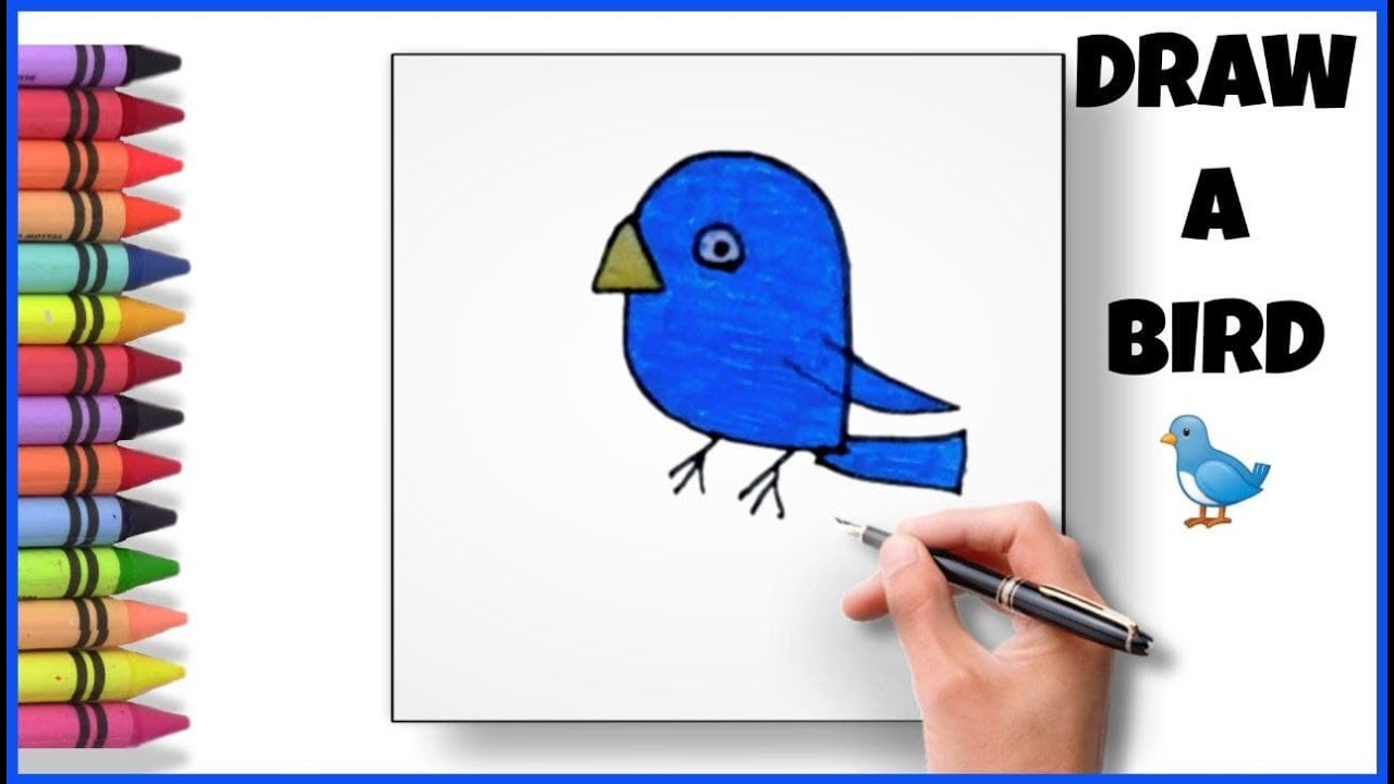 Draw a cartoon bird - YouTube