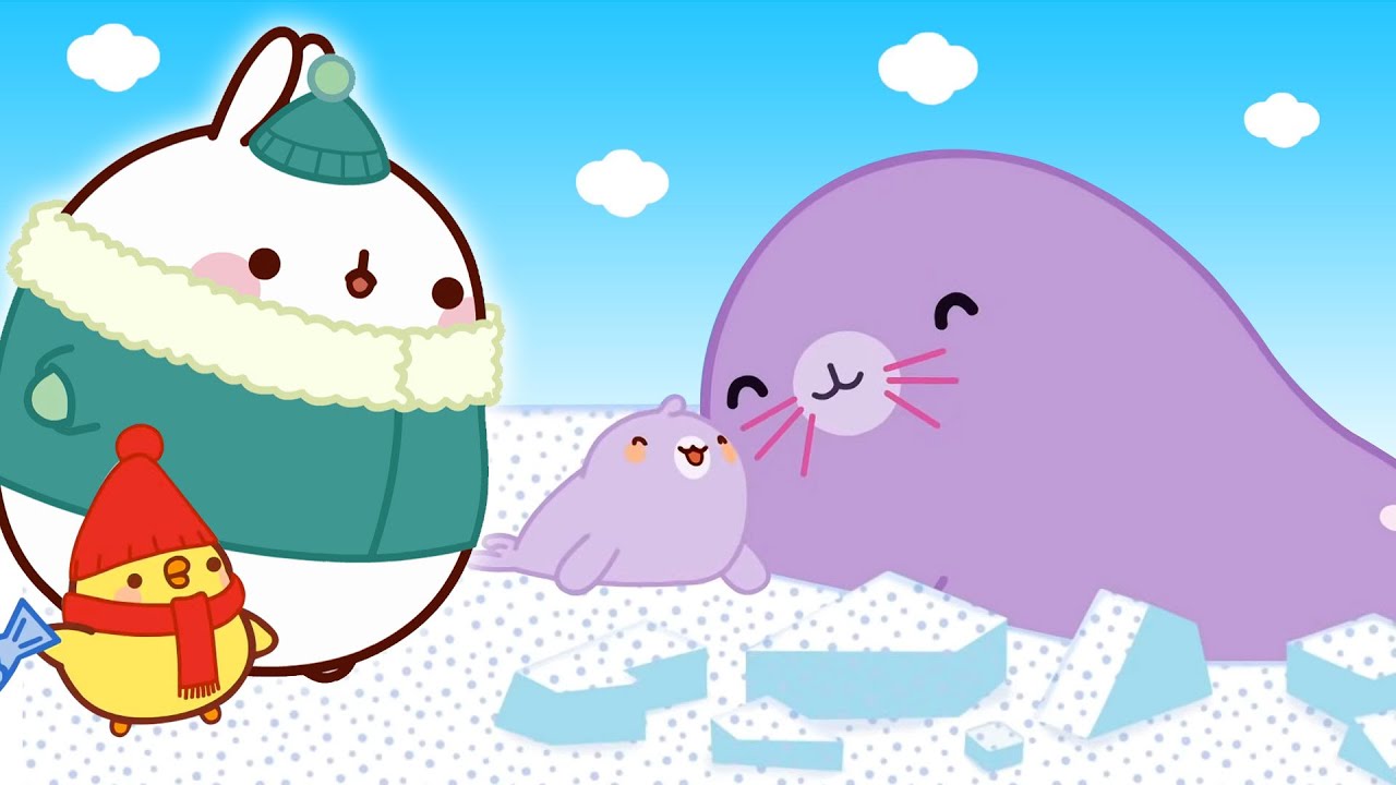 Molang & Piu Piu - The Baby Seal | Season 01 Episode 48 | Funny Animal ...