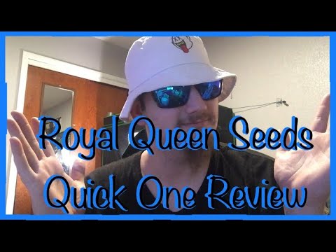 Royal Queen Seeds Quick One Autoflower Review - YouTube