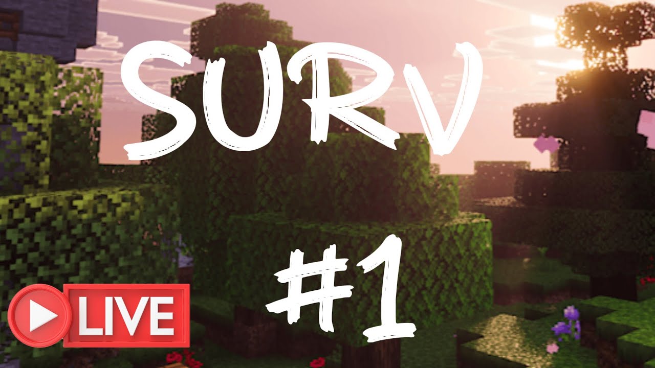 DER BEGINN EINES NEUEN PROJEKTES | MINECAFT SURV #1 LIVE🔴 - YouTube