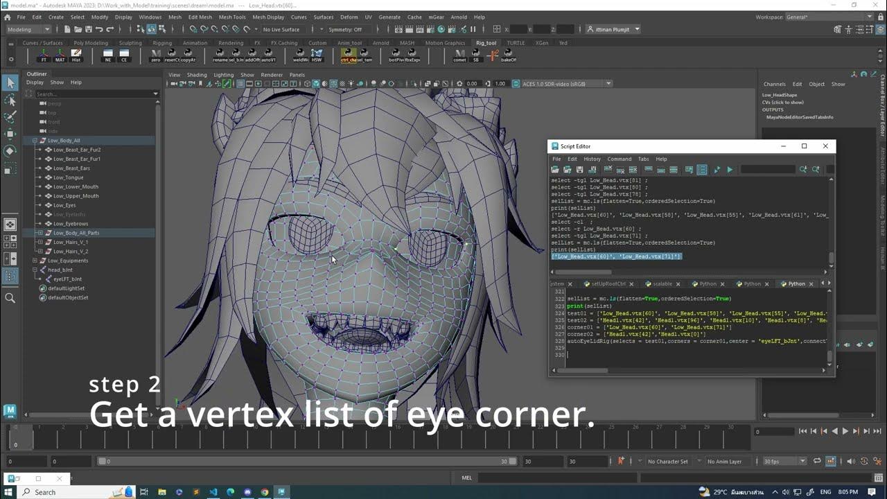 maya eyeLid Rigging using python script. - YouTube